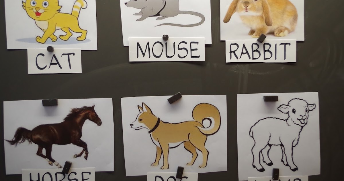 WE LOVE ENGLISH: Year 3: "Animals"