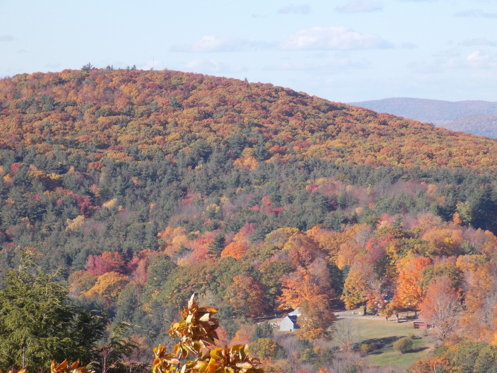 Adventures for Anyone: The Best of My Fall Photos...In Connecticut!