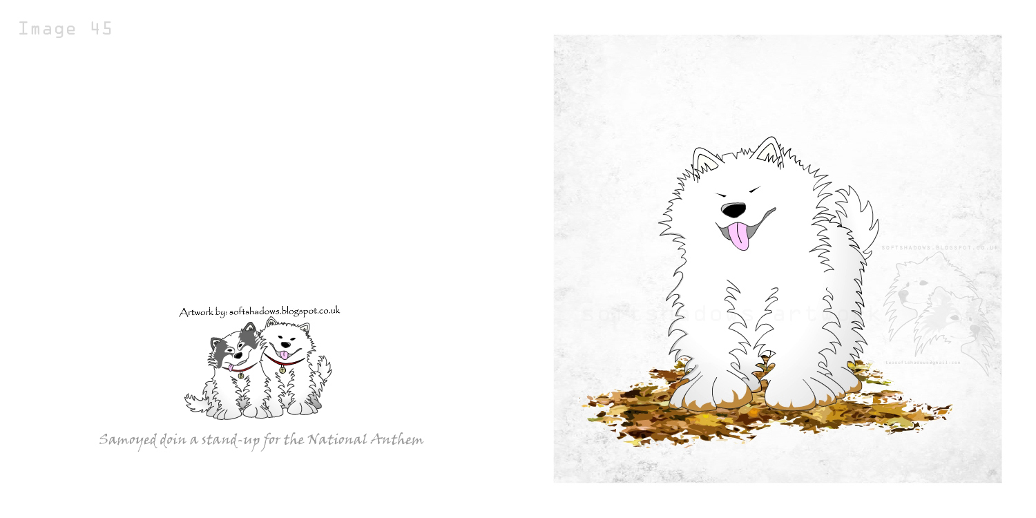 Softshadows art: Samoyed greetings cards