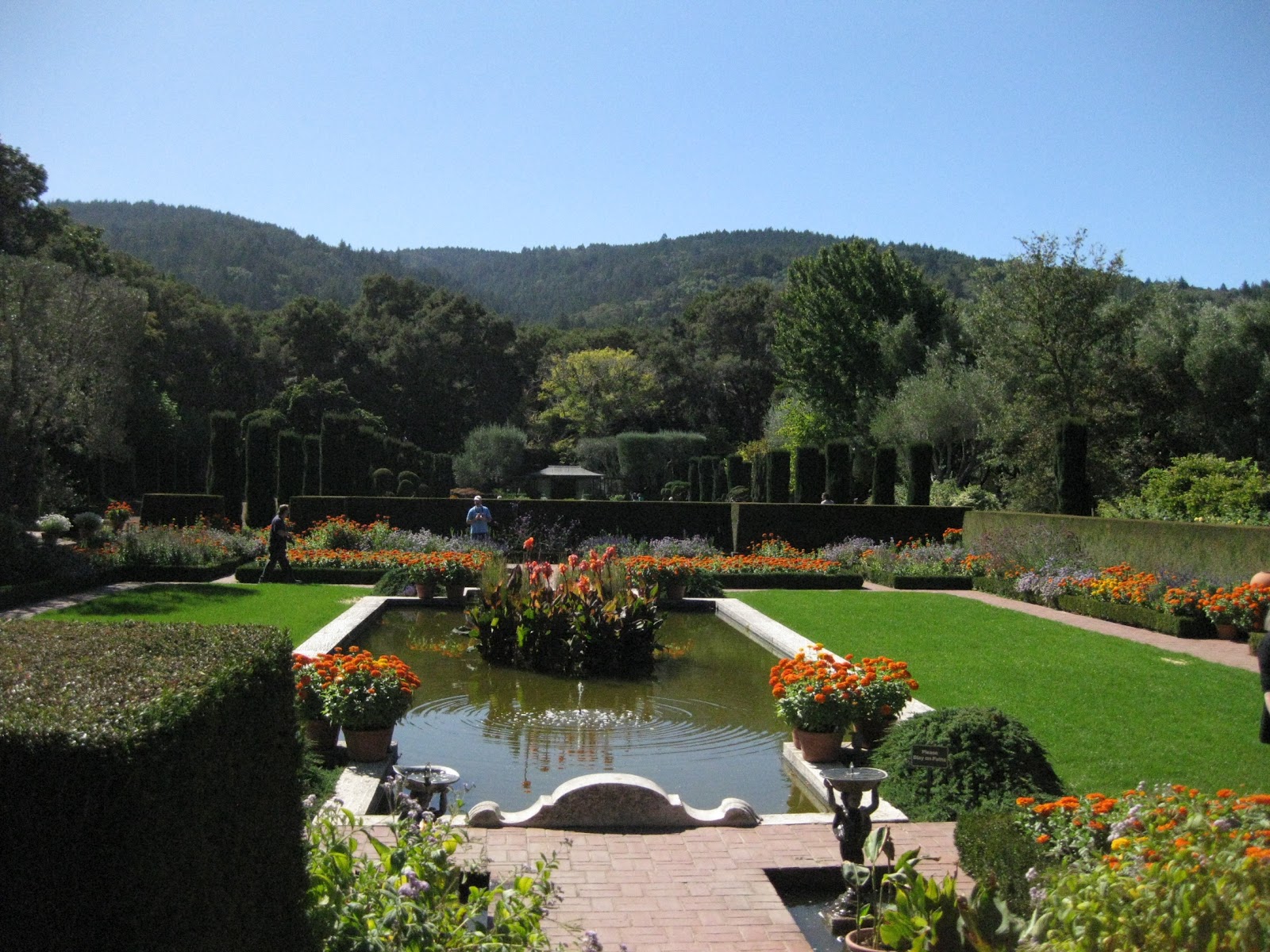 Growing A Garden In Davis: Filoli in the Fall