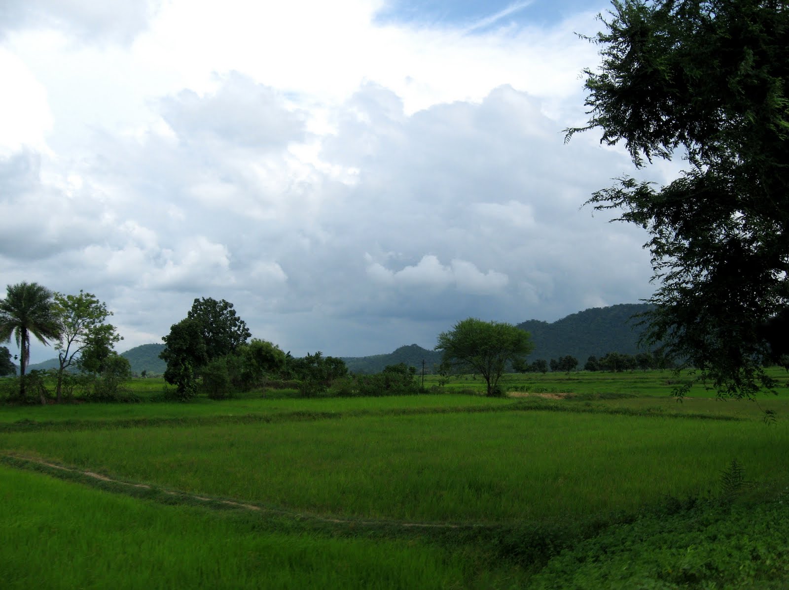Cherishing India.....: Village scene after the rain........