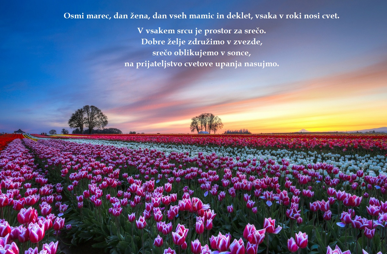 Oddelek za mlade bralce: Želimo vam vesel osmi marec, dan vseh žena