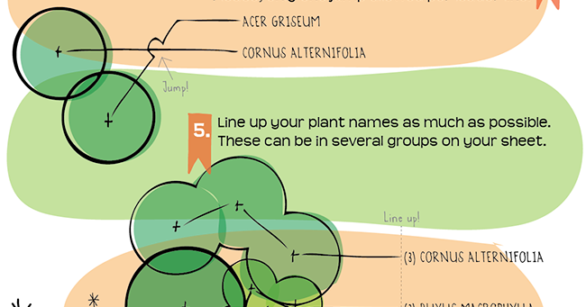 Lisa Orgler Design HOW TO LABEL PLANTS Lisa Orgler Design HOW TO LABEL PLANTS