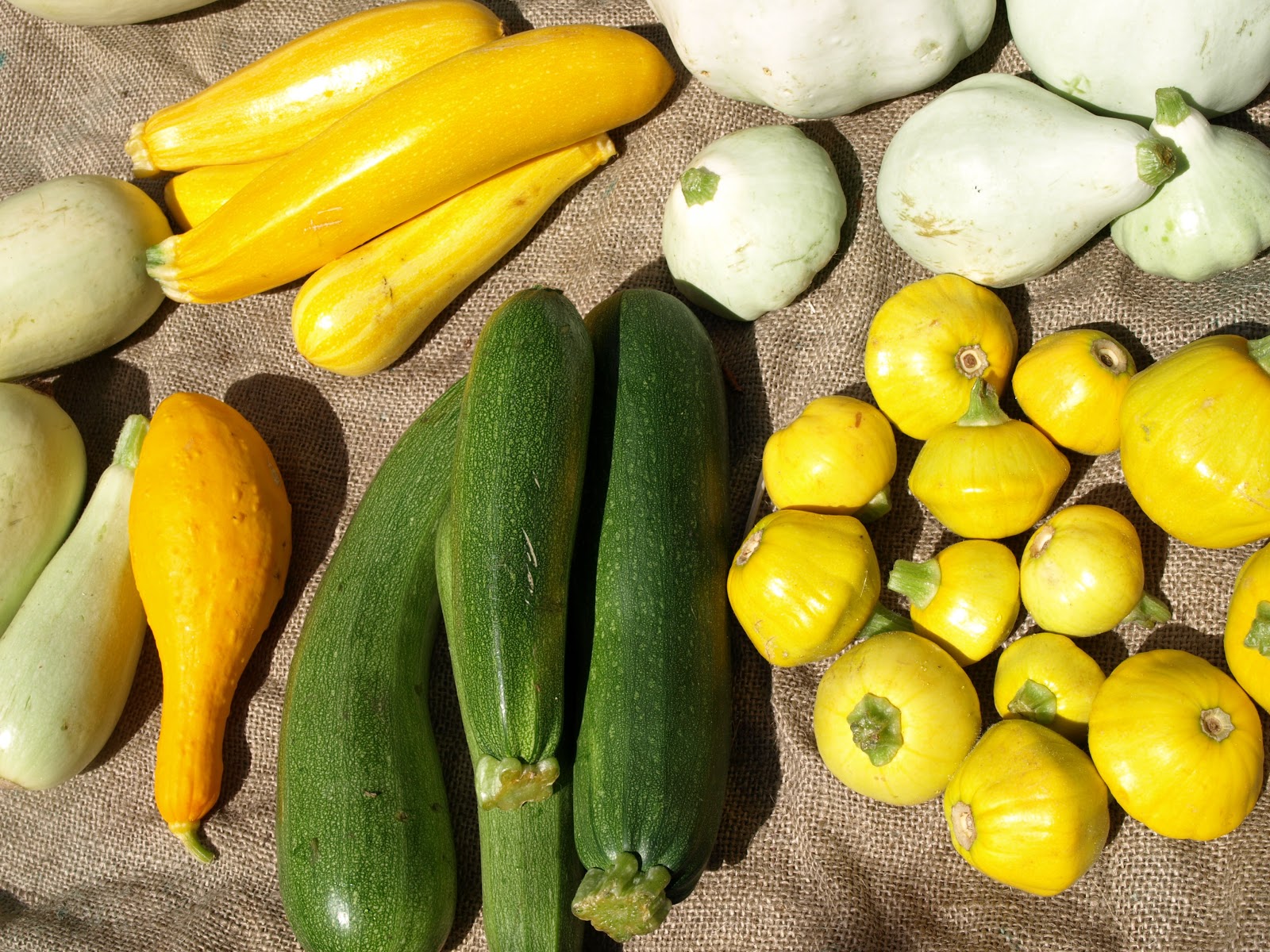 Malmsbury Kitchen Garden: Zucchini and Capsicum Relish
