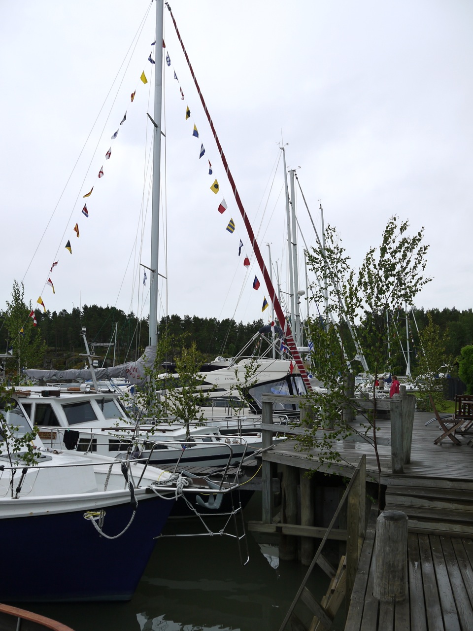 Celebrating the Finnish Midsummer - S/Y Dolphin Dance