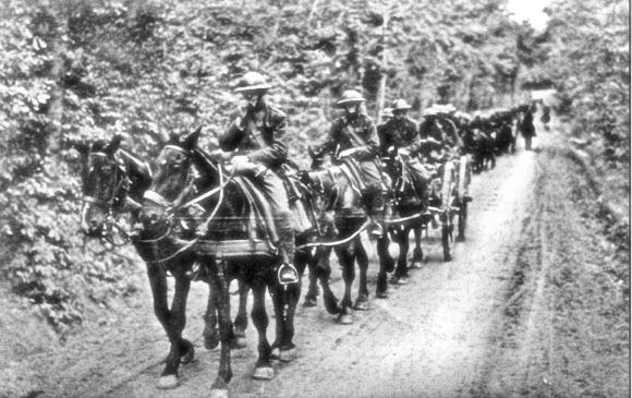 Roads to the Great War: Over There with the AEF: The World War I ...