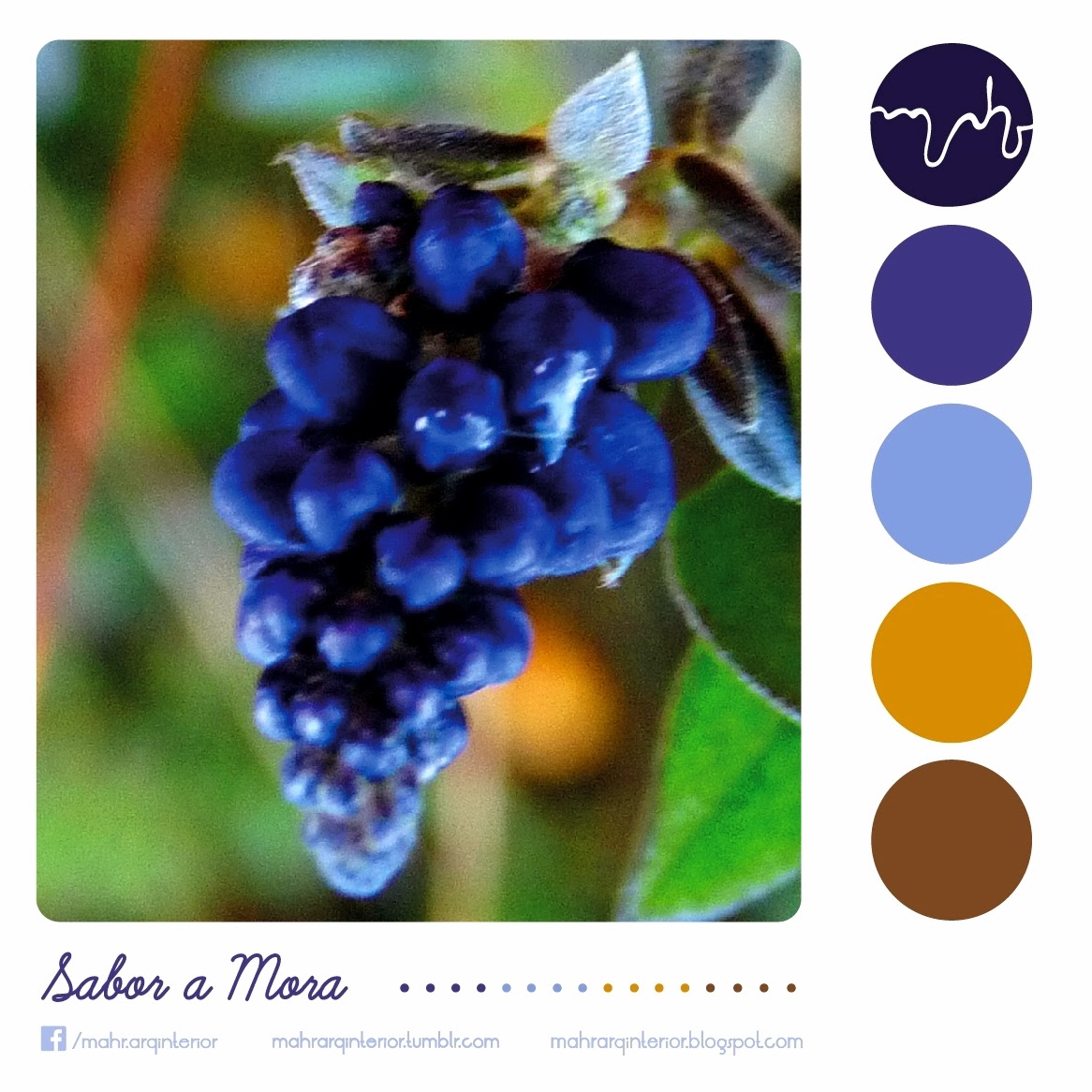 .: Mahr Studio :.: Paleta de colores - Sabor a Mora