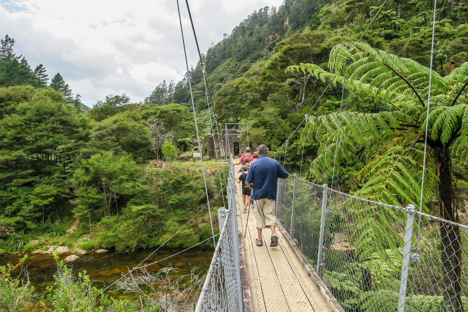 Windows on a long forgotten world - Karangahake Gorge Windows walk ...