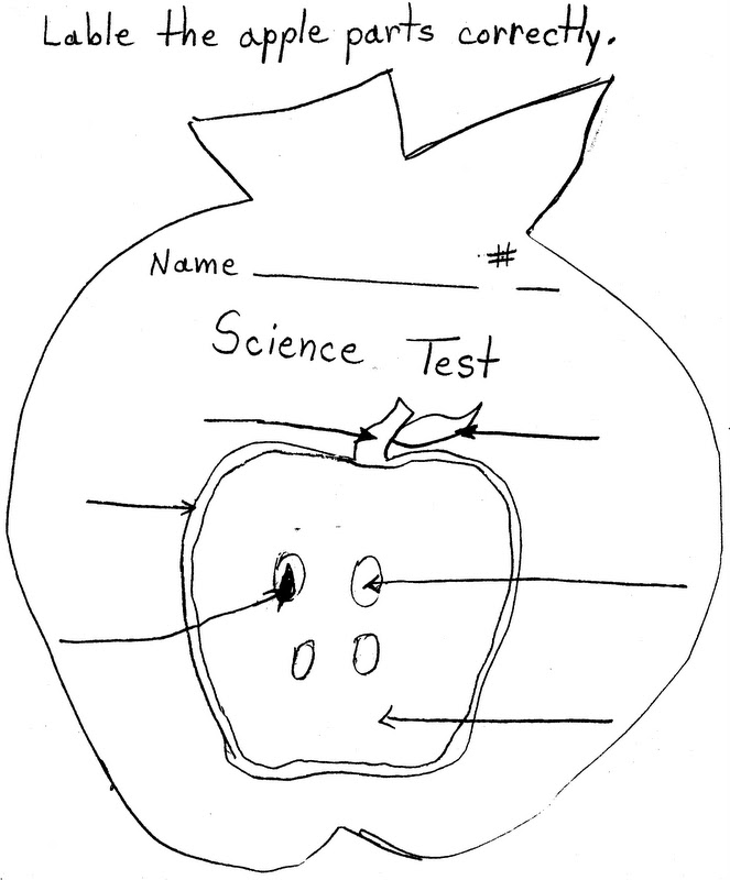 ELEMENTARY SCHOOL ENRICHMENT ACTIVITIES: JOHNNY APPLESEED SKILL BOOKLET