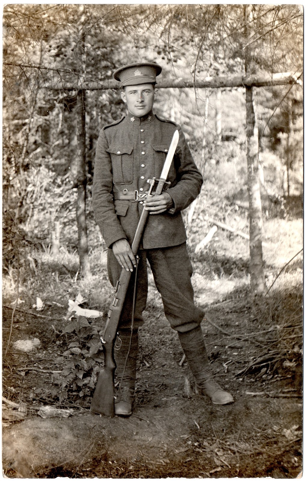 Great War Postcards: Ross Rifle