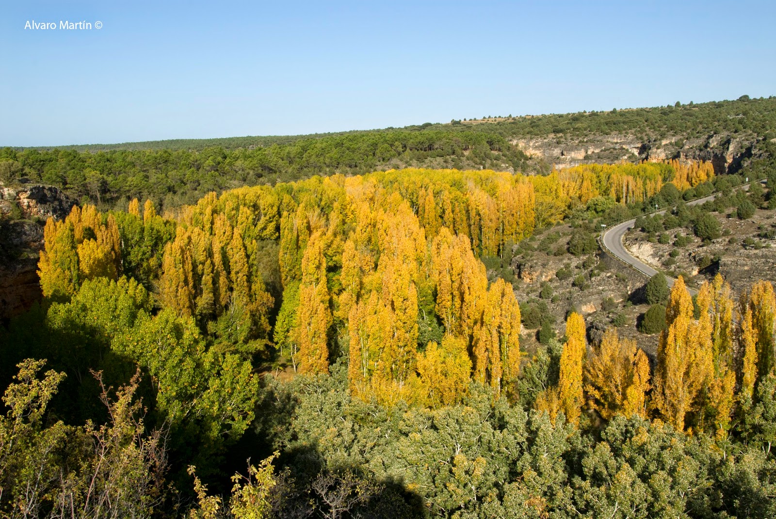 alas, patas y plantas: Otoño en las Hoces del río Duratón