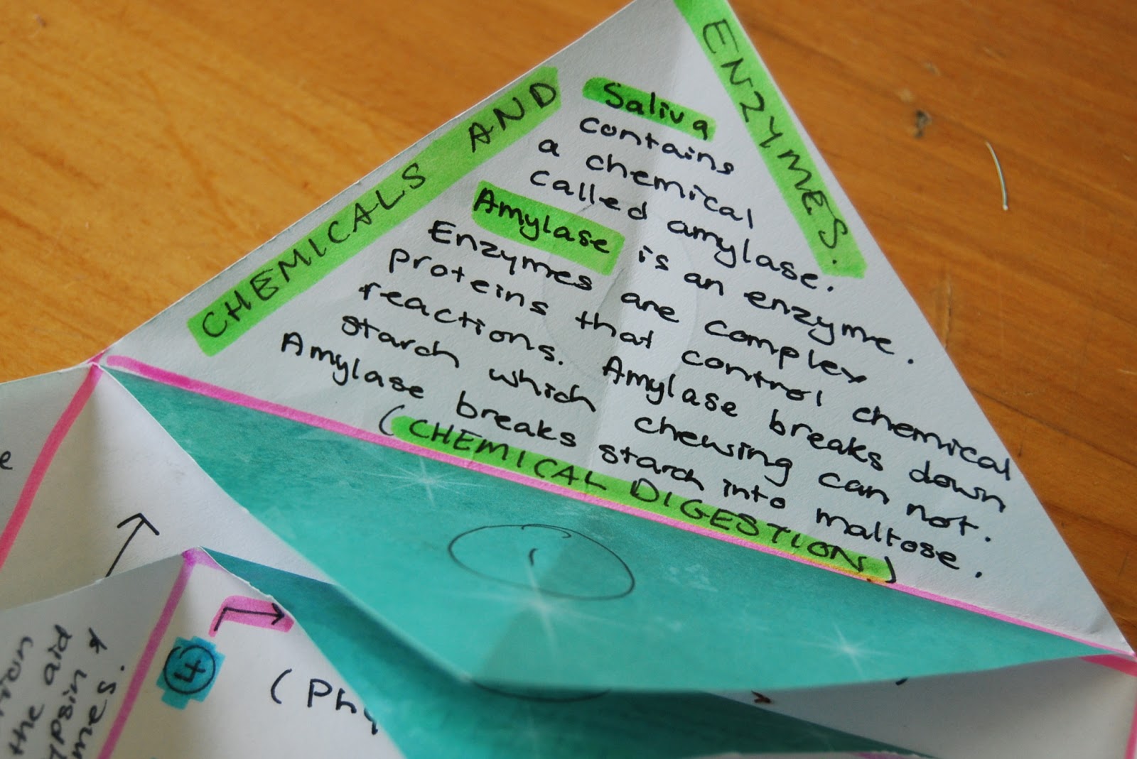 Ol Mother Hubbard: Study Star- Revision Idea