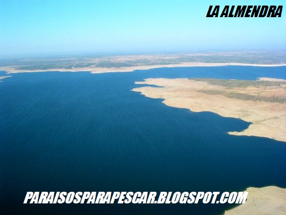 PARAÍSOS PARA PESCAR: EMBALSE DE LA ALMENDRA