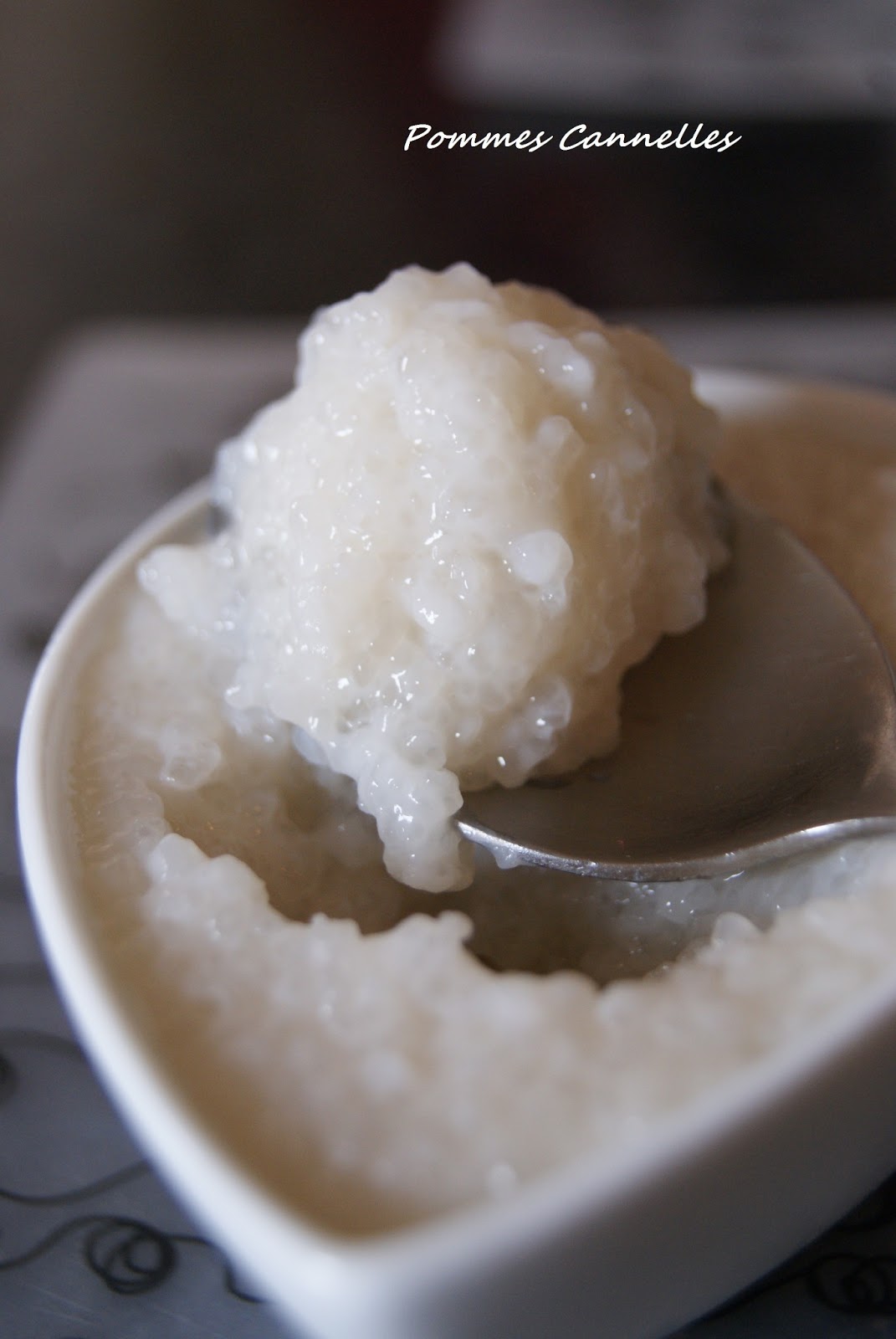 Pommes Cannelles: Tapioca aux fruits exotiques