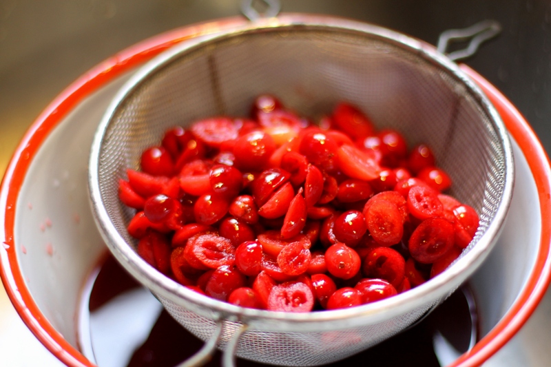 DIY Homemade Craisins | Gypsy Farmgirl