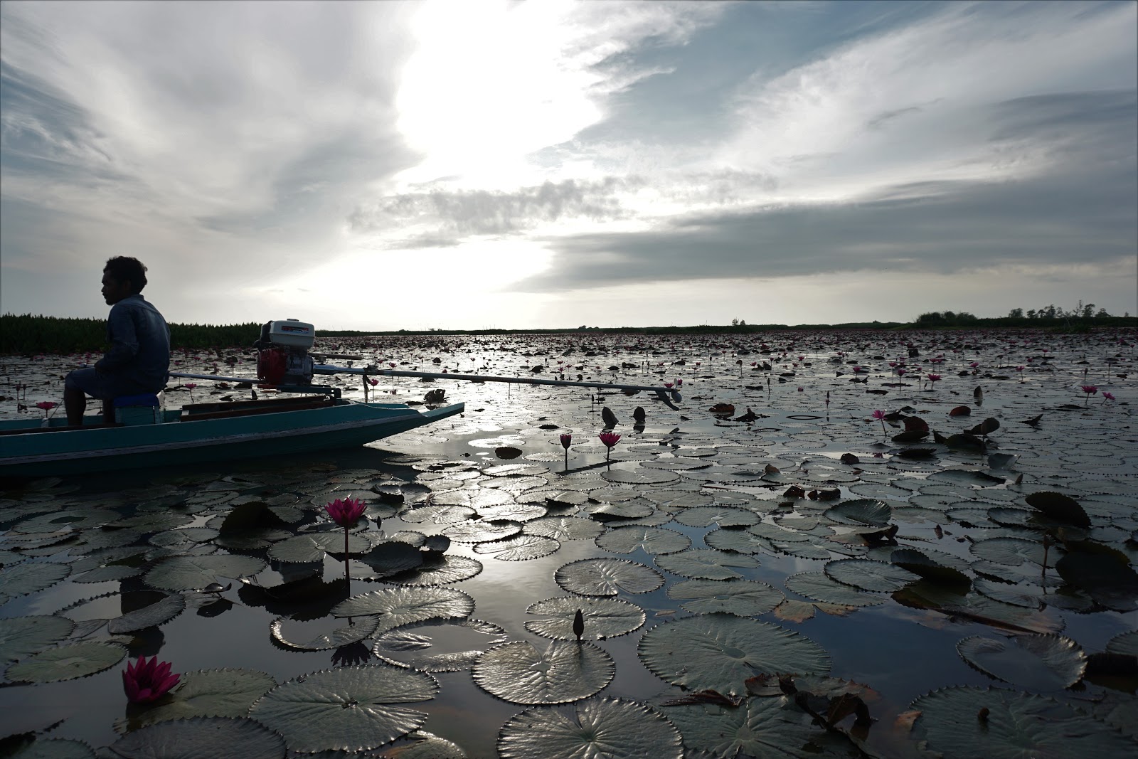 Off The Beaten Path - Phatthalung : Thale Noi, The Highlight ...