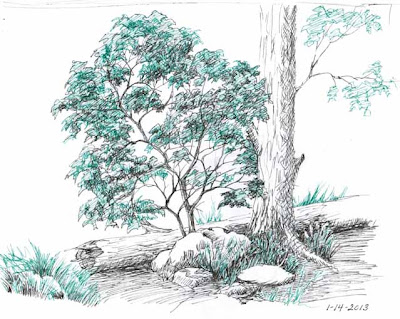Susan Bertke, Artist: Landscape Doodle