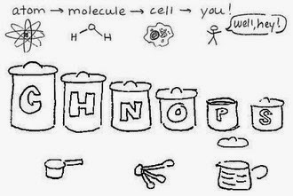 Ms. Robinson's Super Scientists: Unit 2: Day 3 Organic vs. Inorganic ...
