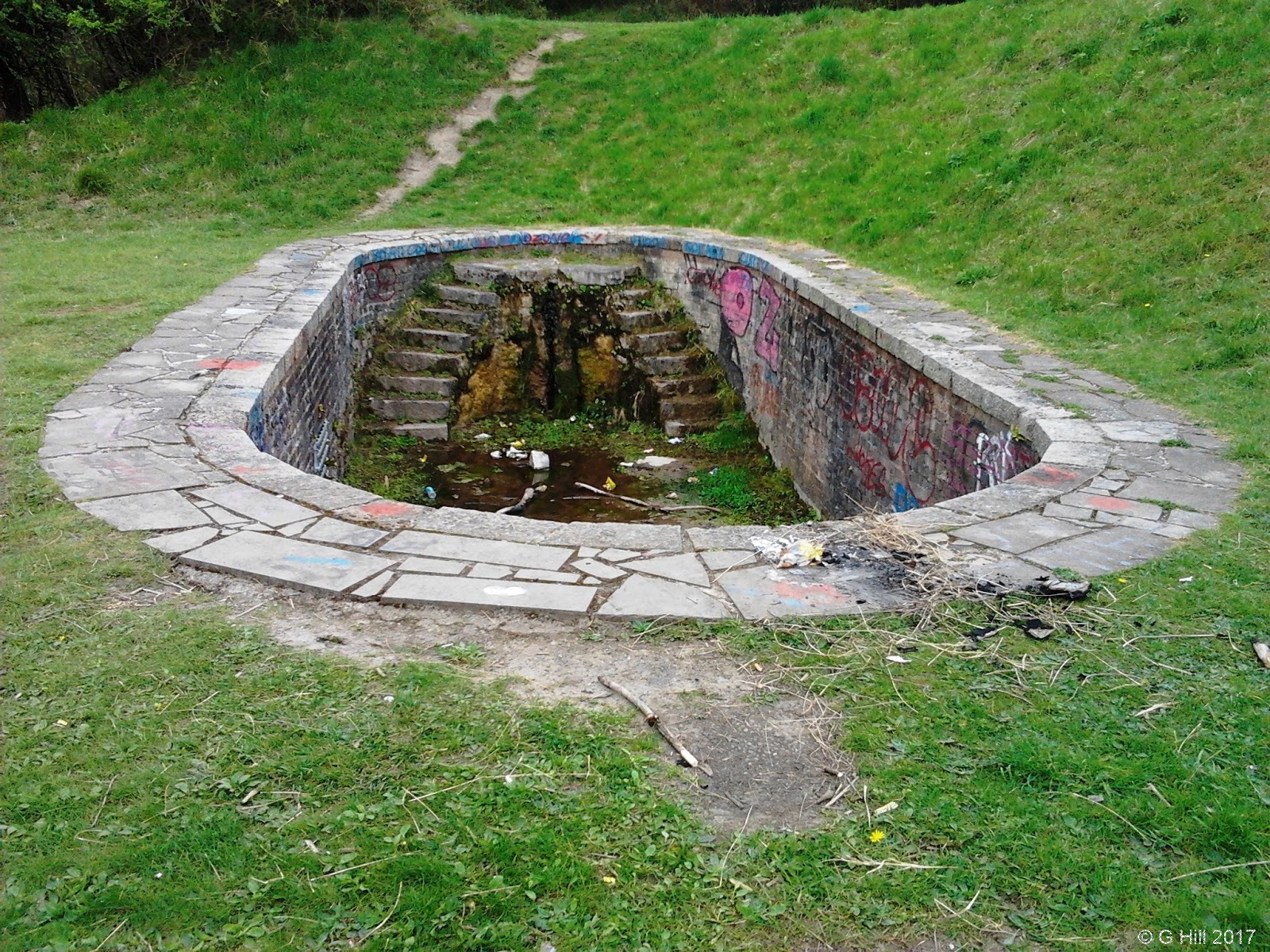 Ireland In Ruins: Leixlip Spa Co Kildare