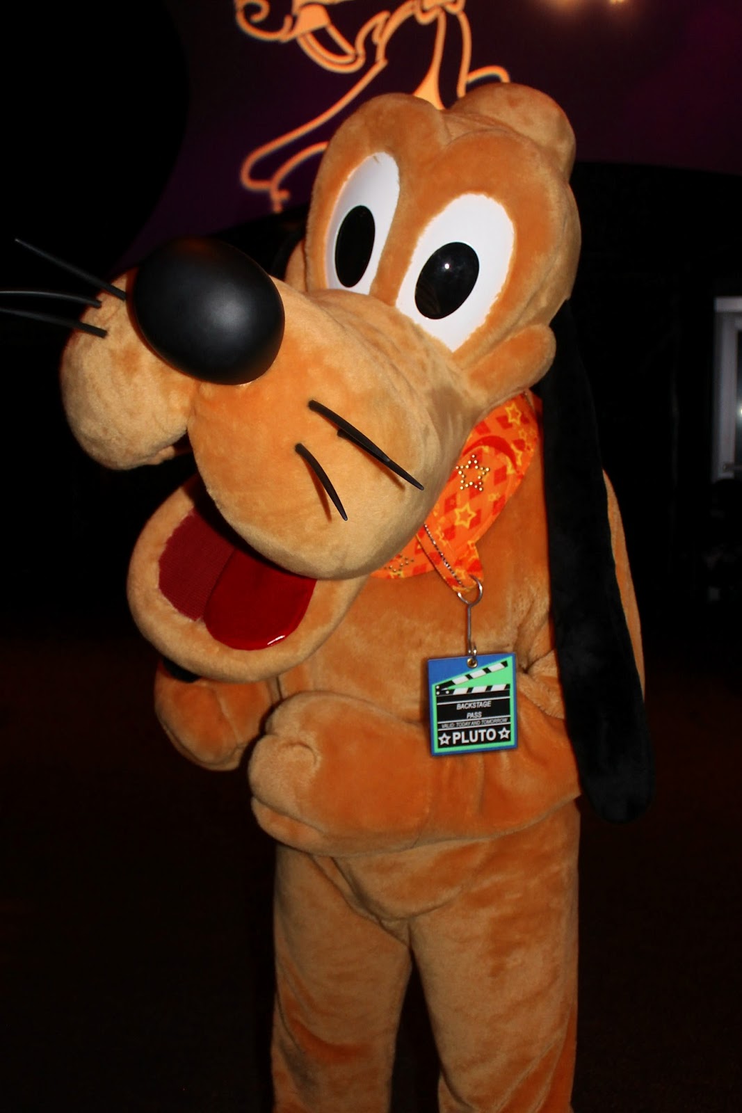 Unofficial Disney Character Hunting Guide: Disney Dreamers Everywhere ...