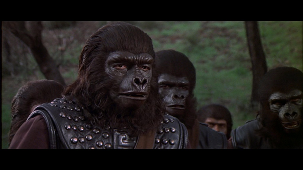 Room 207 Press: Your Move, Darwin #5: Battle for the Planet of the Apes ...