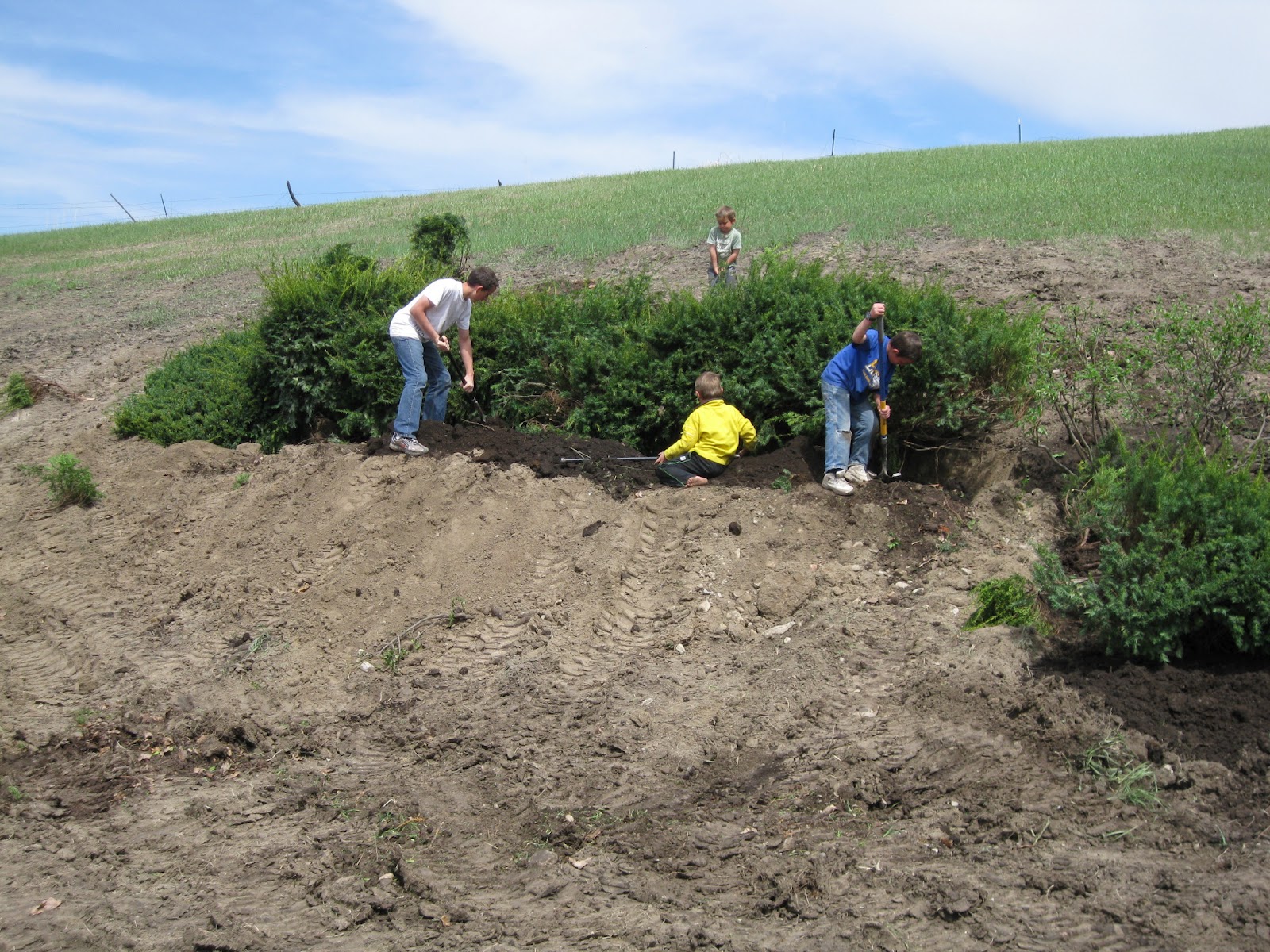 A Little Peace in Paradise: Old Paradise Church – Replanting