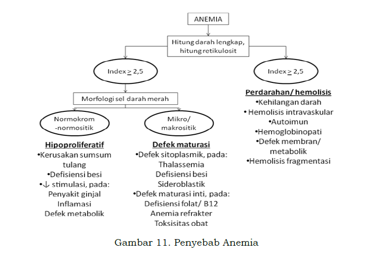 Juli 2016 ~ Panduan Praktik Dokter di Fasilitas Pelayanan Kesehatan Primer