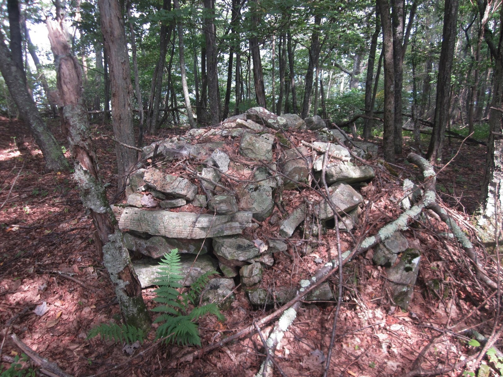 Rock Piles: Sinking Creek Mountain VA