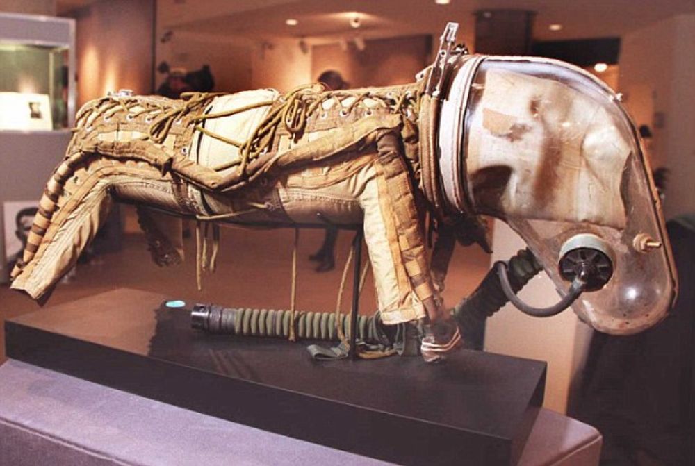 This Soviet Dog Spacesuit Is The Cutest Dog Costume You Will See Today ...