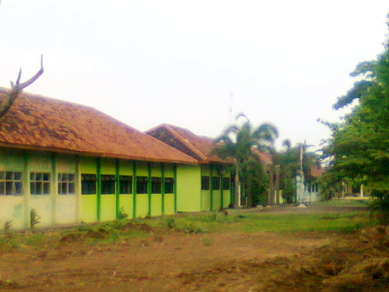 Desa Bungo Wedung | Album Putu Panji: Album #1 - Rifa'i Kurdi alias ...