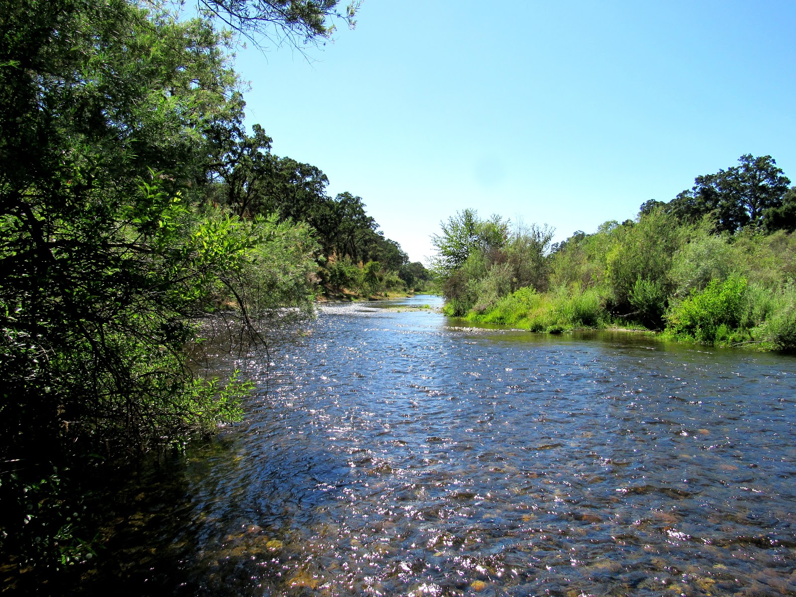 Tuolumne River Lodge Modesto Ca