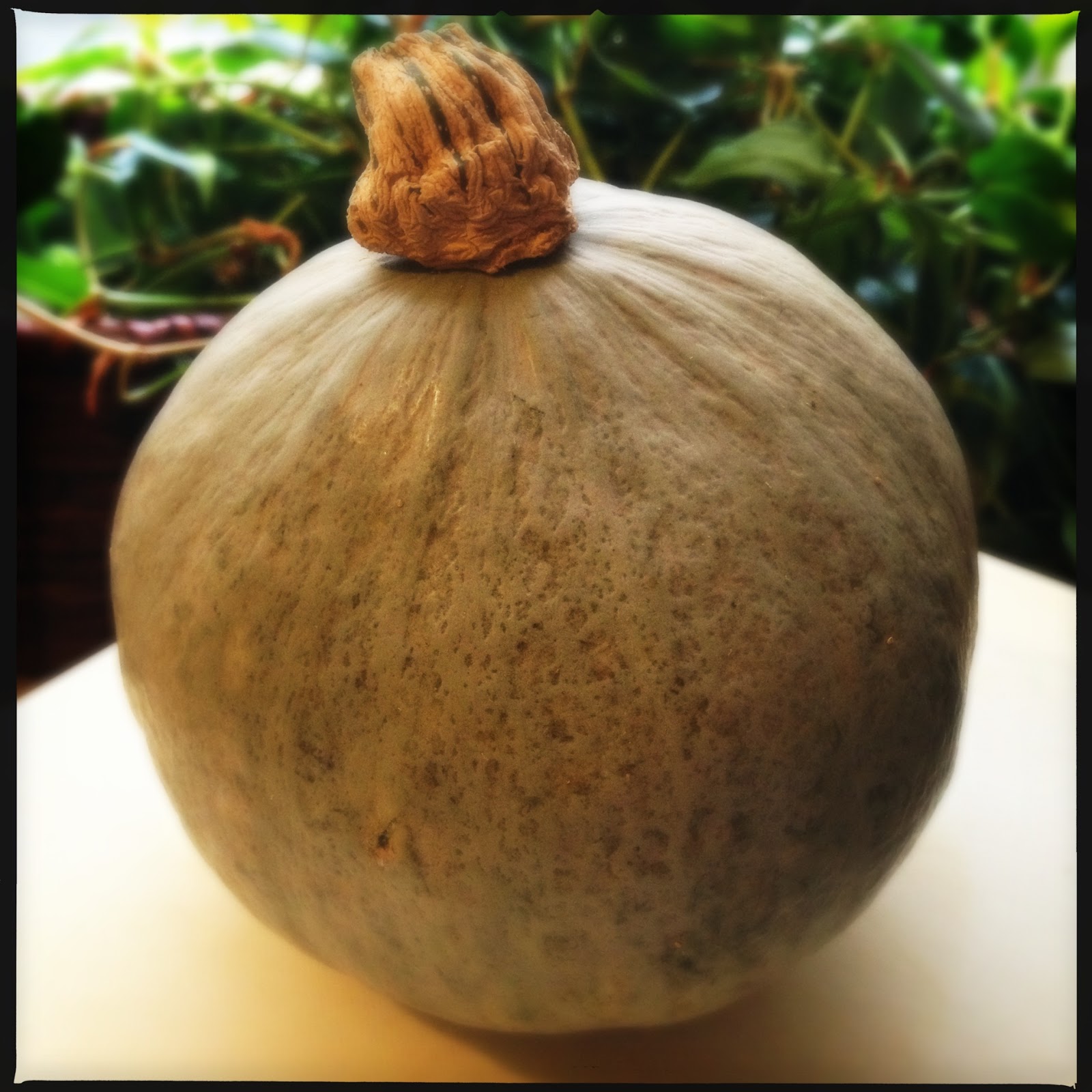 Pook's Pantry: (Old Mother) Hubbard Squash