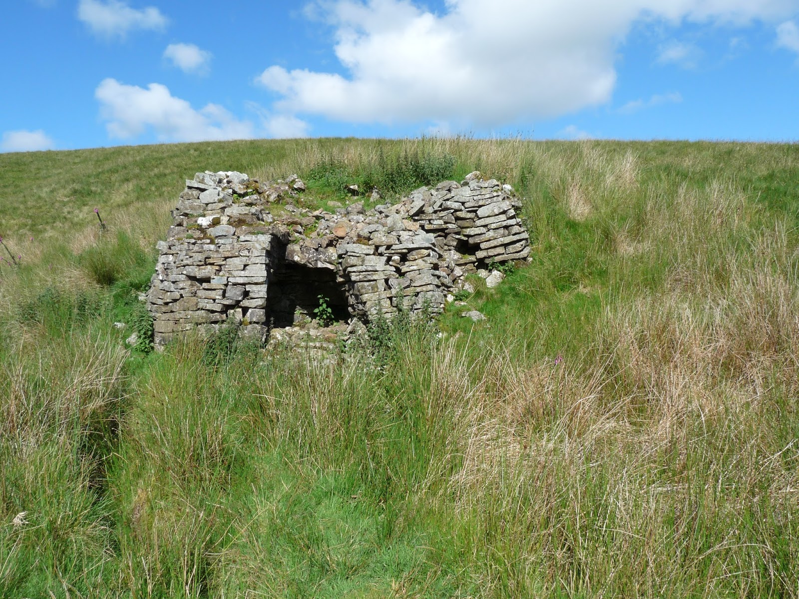 what it is, what it was, what it will be: Uldale Force Wild Swim