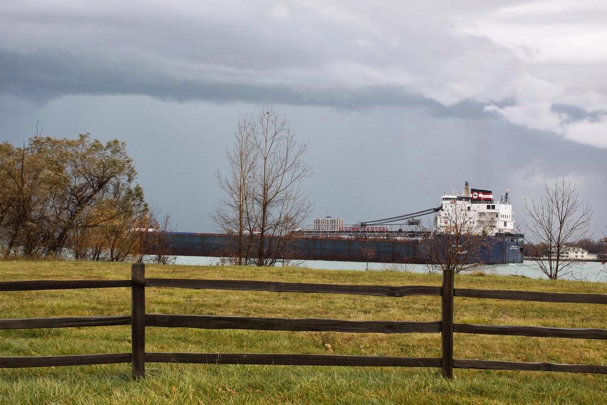 Michigan Exposures: Almost Catching the Algolake