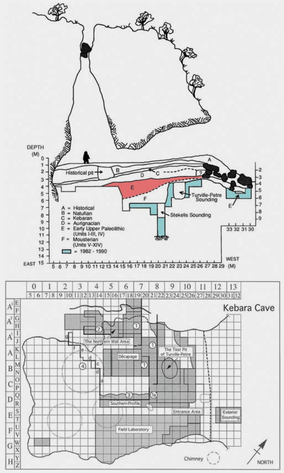 Paleoantropología hoy: enero 2018