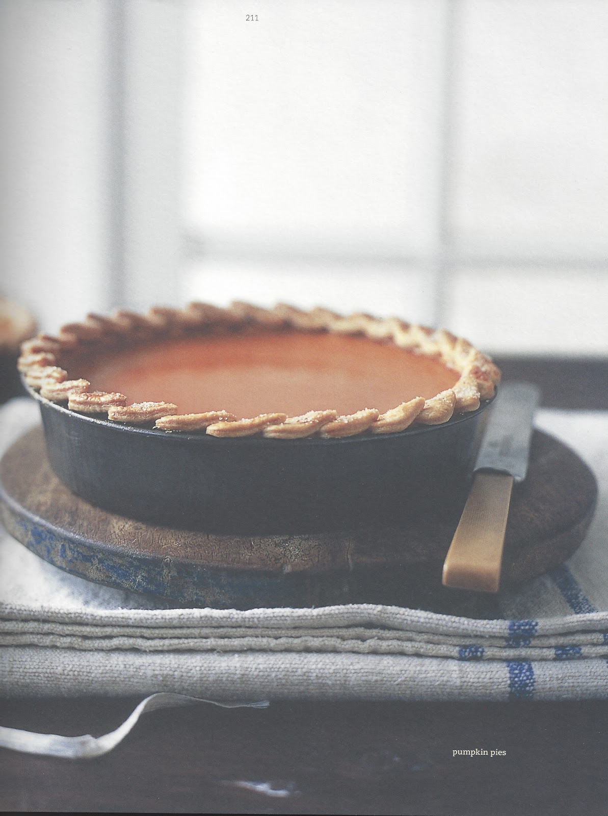 The Polished Pebble: Beautiful Food Photography: Donna Hay Cookbooks