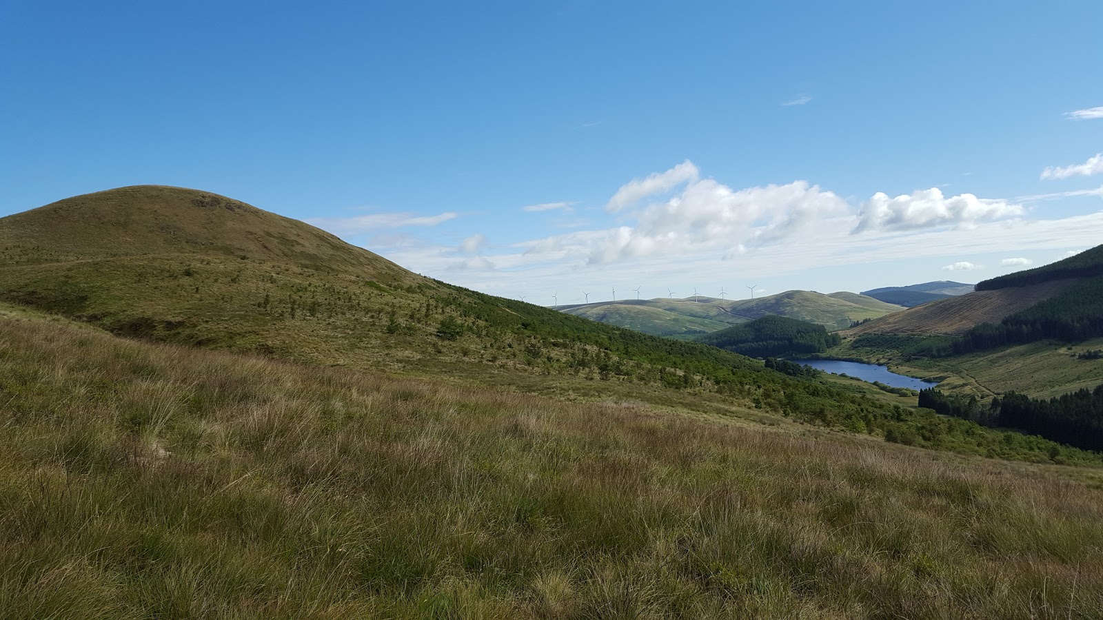 Neil's Hillwalking Exploits: Ben Shee (Ochils)