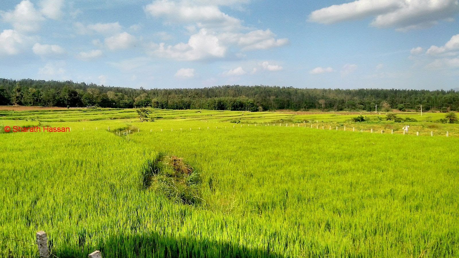 Sharath Hassan A Travelling Photographer: Deviramma Betta, Chikmagalur