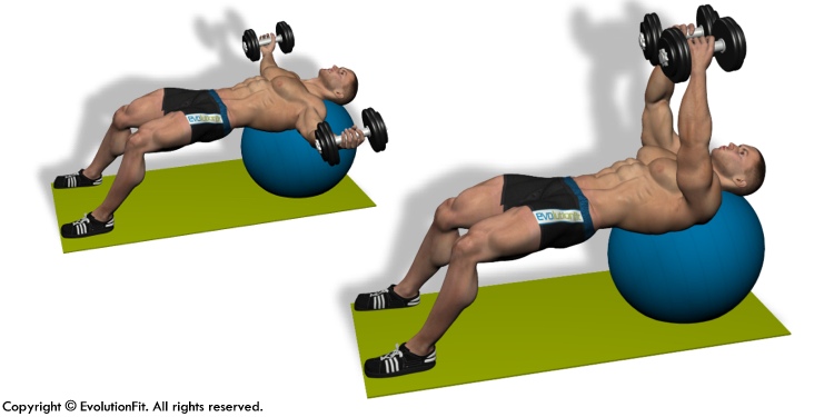 THE RIPPED BLOG