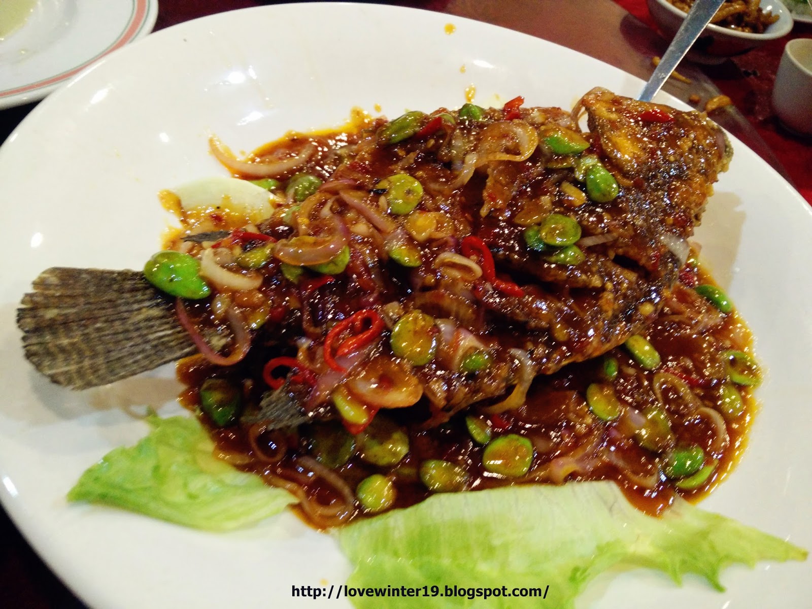 My Palace, My symphony of life and the rhythm in My heart: Chinese ...