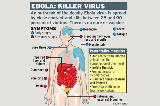 Disease Symptoms And Medicine: Ebola Virus- Disease Diagnose and Treatment