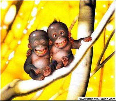 Jay's Day That Was: Long-Term Dialogue