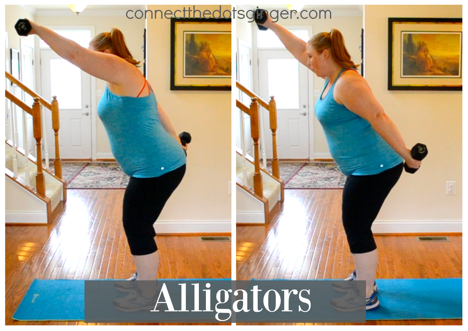 Connect the Dots Ginger | Becky Allen: Plus Size Fitness: Upper Body ...