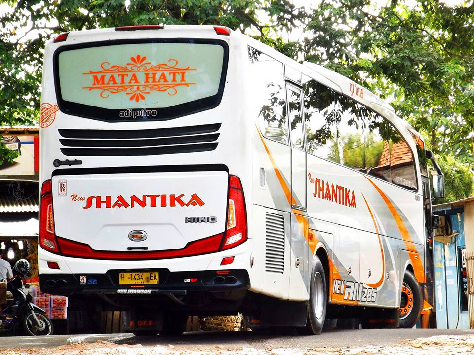 New Shantika - Bus Indonesia