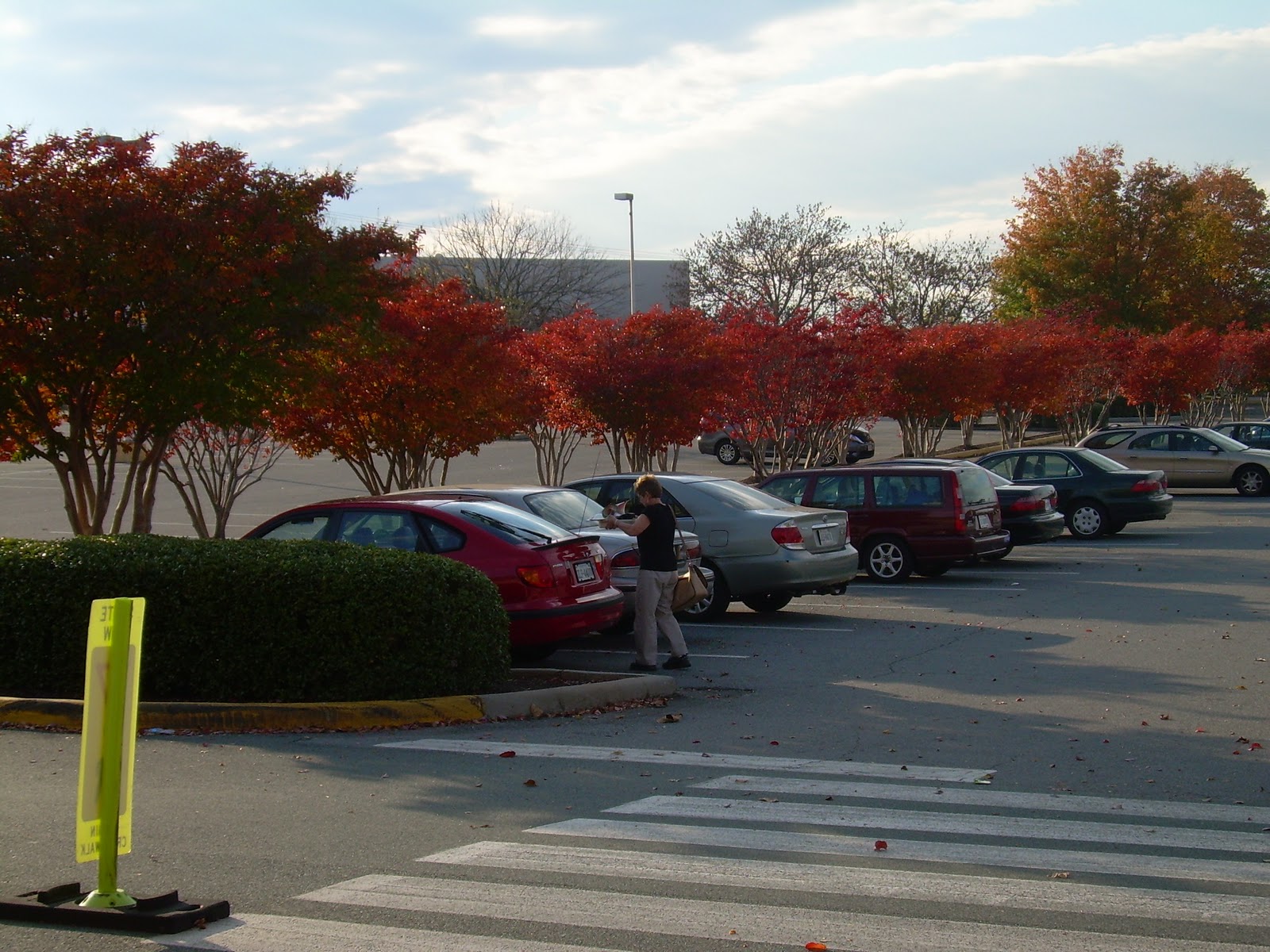 Joanna Bourne: An Ode to Coffee Shops