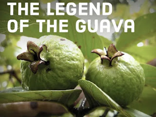 The legend of the Guava - THE LEGENDS AND FOLKTALES