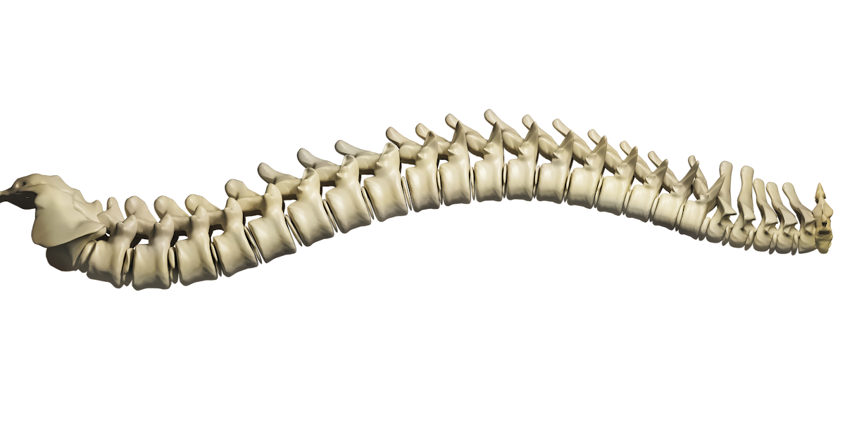 Brain and Spine Care Centre - Chennai: Spine Surgery In Chennai