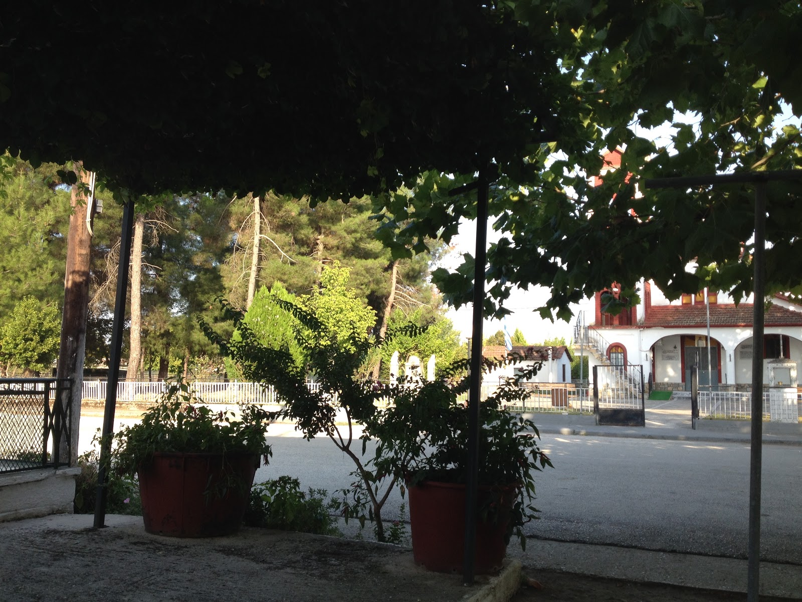 ΑΝΩΓΕΙΟ: ΕΙΚΟΝΕΣ ΑΠΟ ΤΟ ΧΩΡΙΟ ΑΝΩΓΕΙΟ