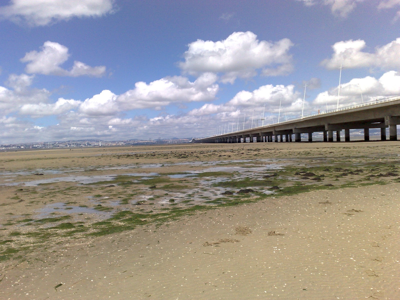 Humanos somos nós!?: Praia do Samouco(Montijo).