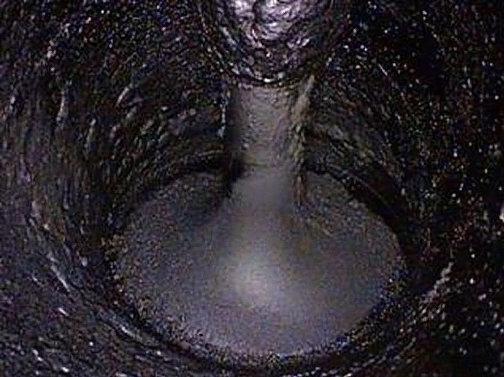 BEST Unleaded Fuel: Shell, Petron or Caltex - Page 14